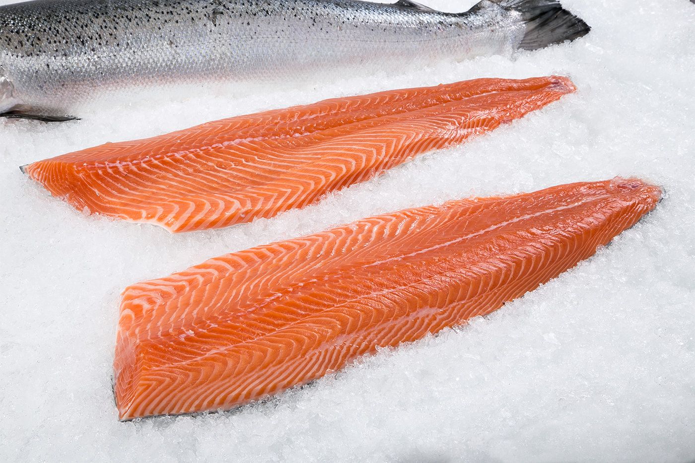 Norwegian Salmon - Norwegian Fresh/ Frozen Fillet - Bole Foods
